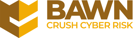 Crush Cyber Risk | Bawn