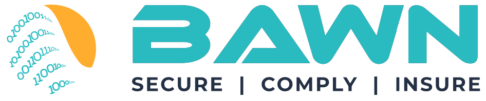 Risk Resilience: Bawn's Guide to Cybersecurity and Beyond | Security ...